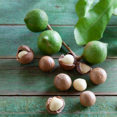 Australian Macadamia Society