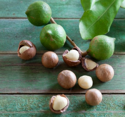 Australian Macadamia Society